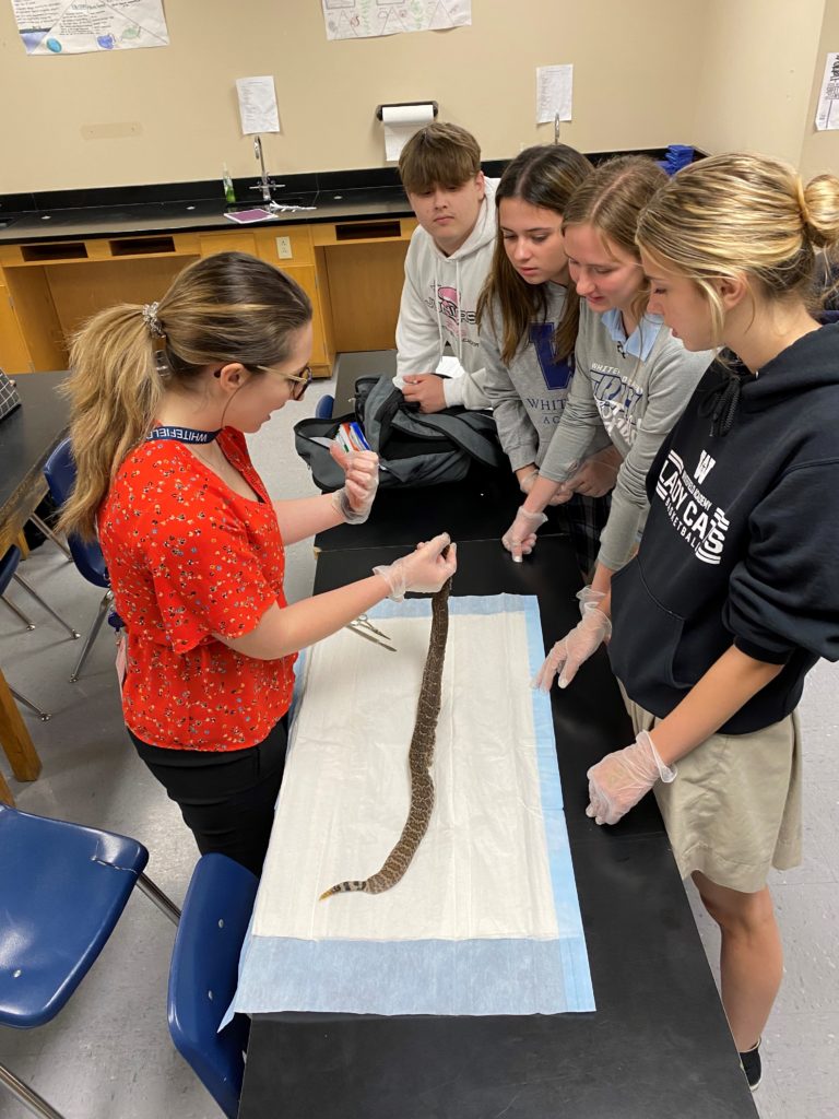 High School - Whitefield Academy